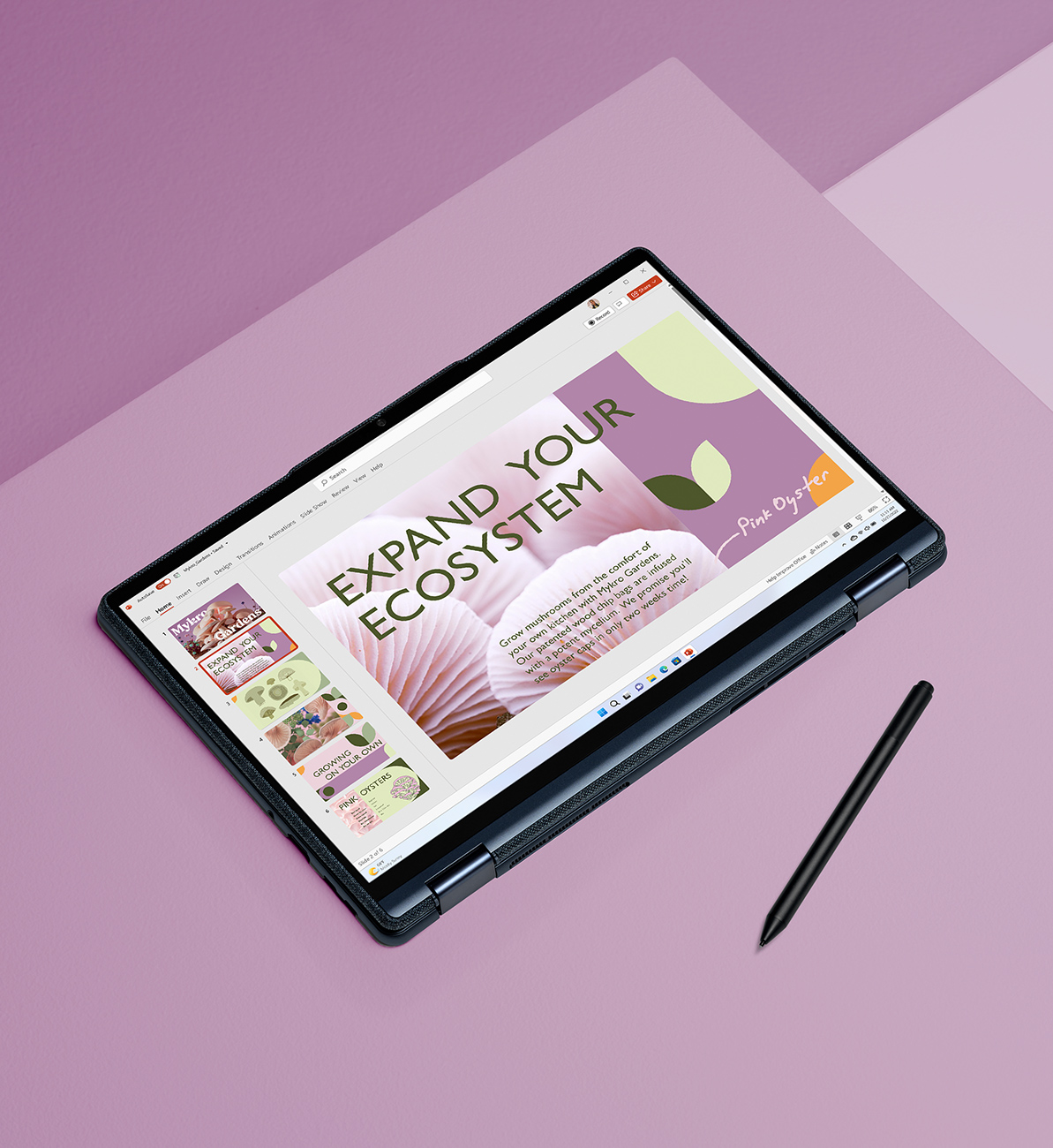 Microsoft 365 | Currys