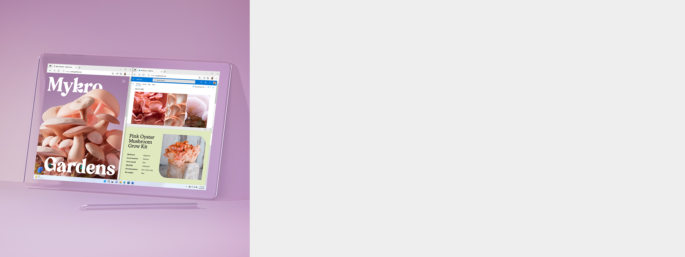 Windows 11 | Currys