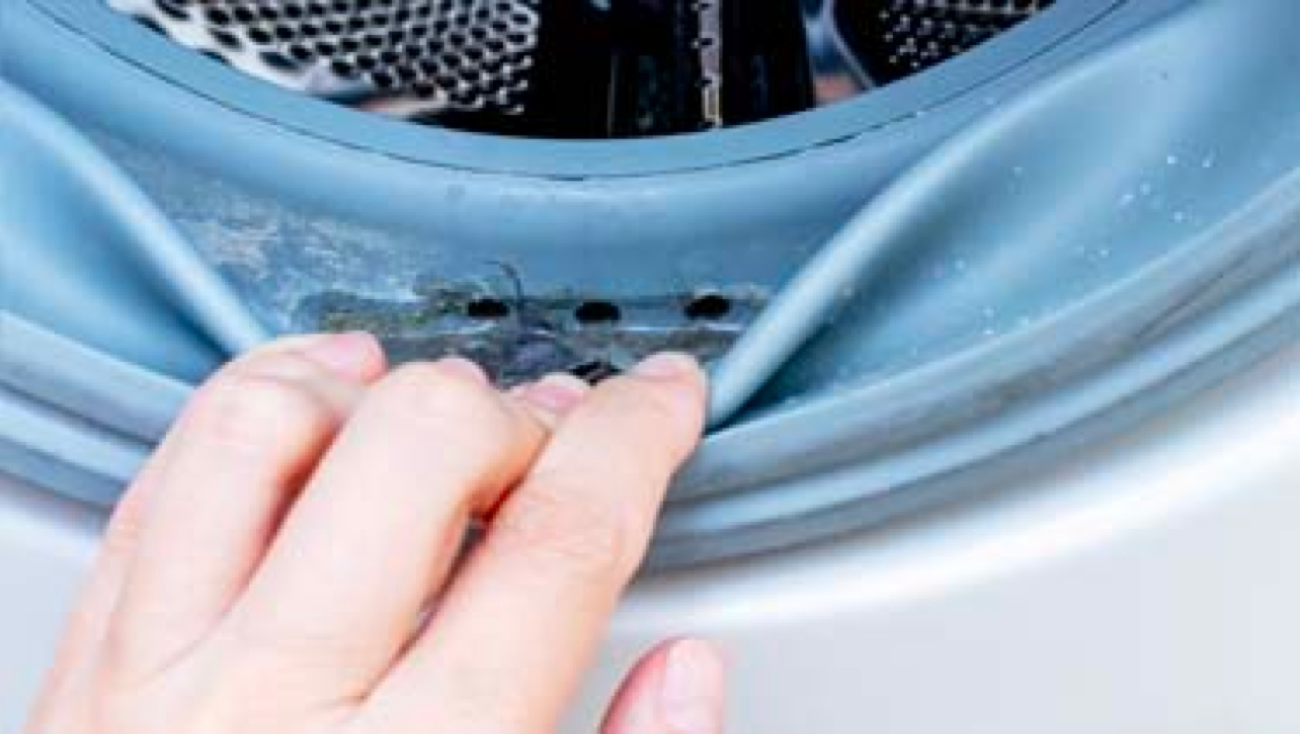 Washing machine buying guide | Currys